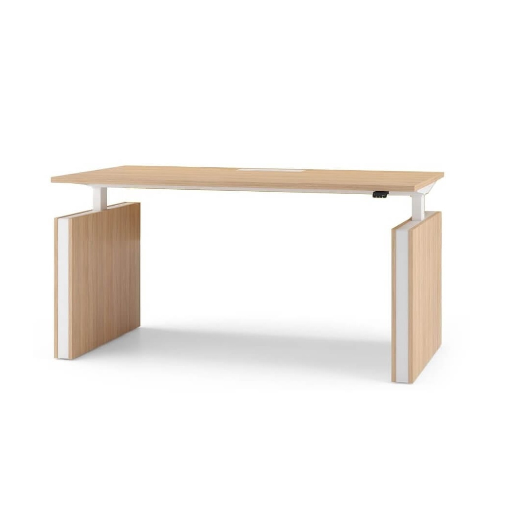 Motion 55.1 Electric Adjustable Office Desk w/3 Level Columns and Panel ...